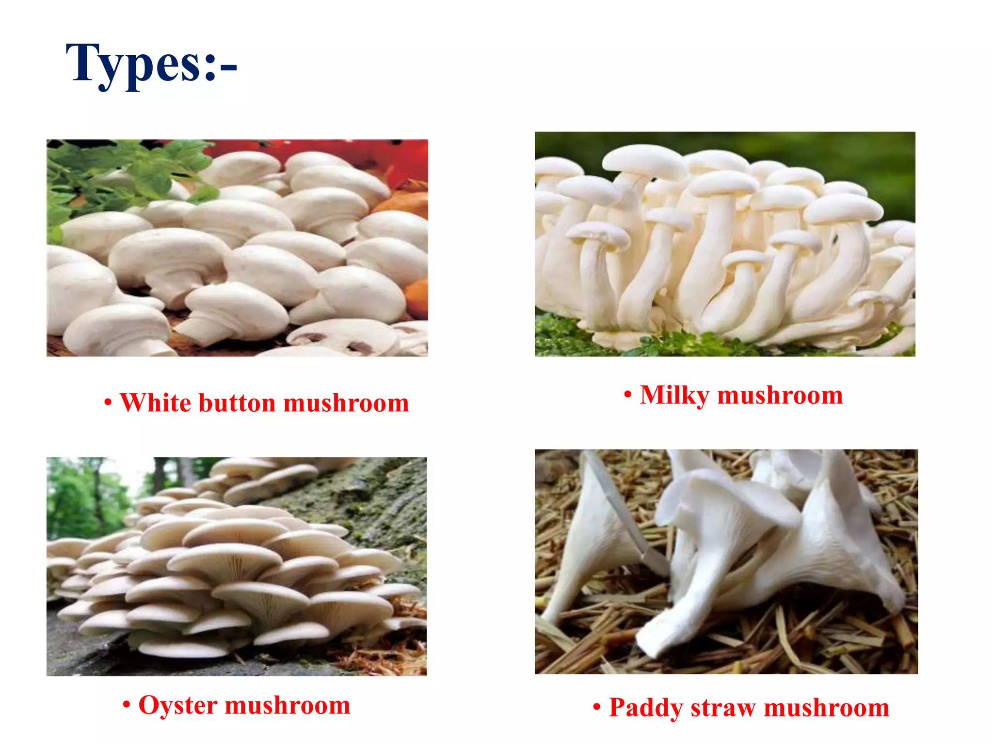 Mushroom valuev addition | PPTX