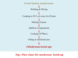 Mushroom valuev addition | PPTX