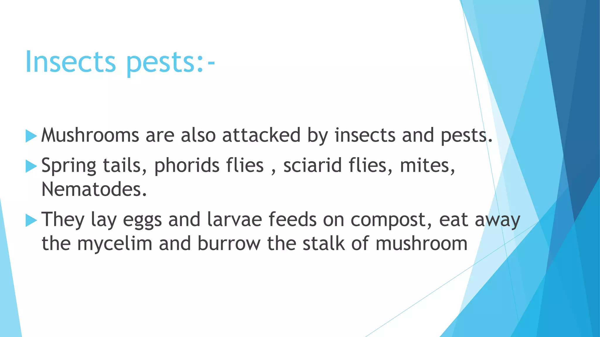 Diseases and insect Pests of Mushroom . | PPTX