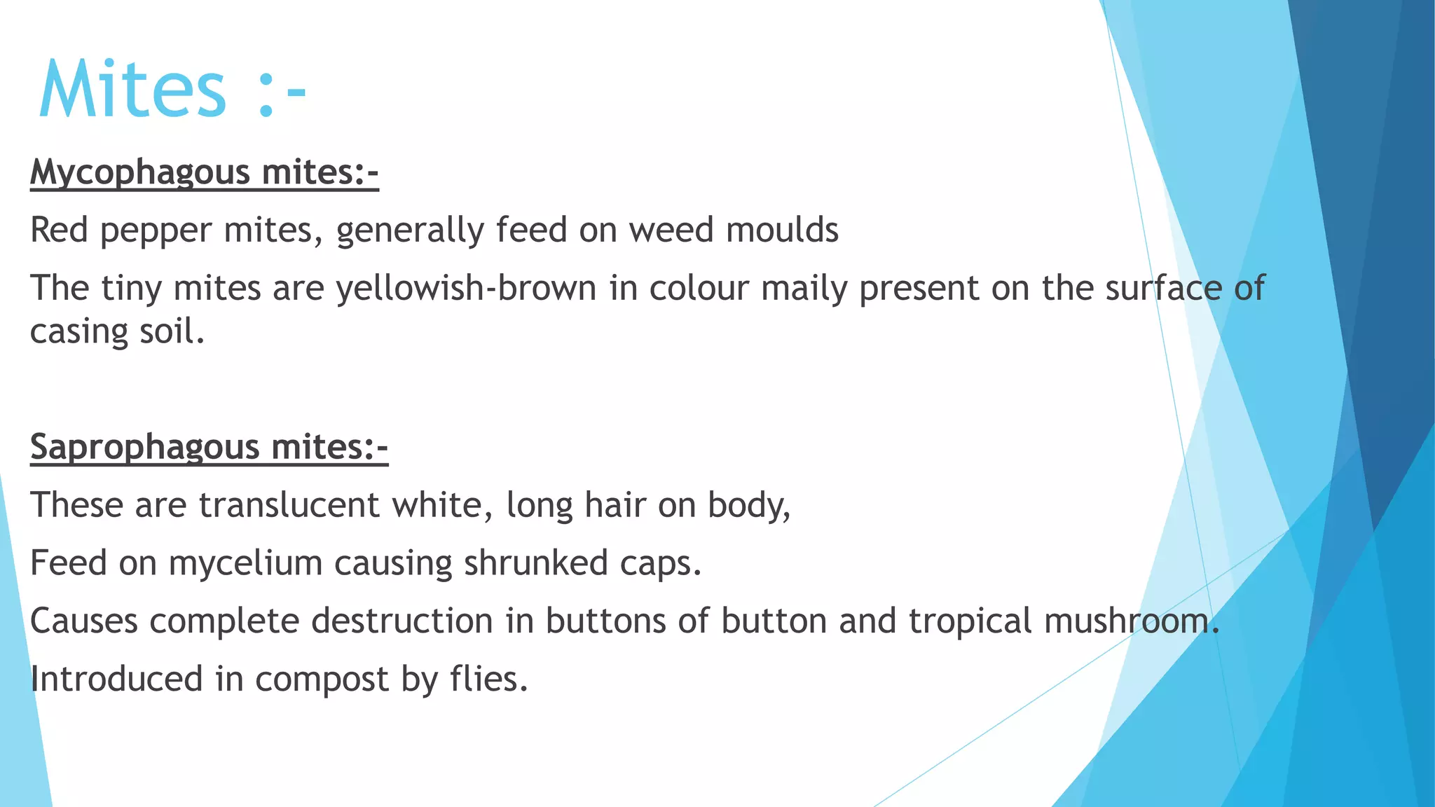 Diseases and insect Pests of Mushroom . | PPTX