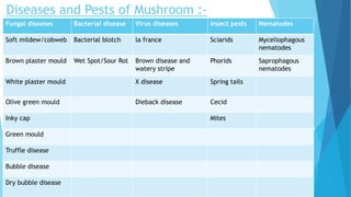 Diseases and insect Pests of Mushroom . | PPTX
