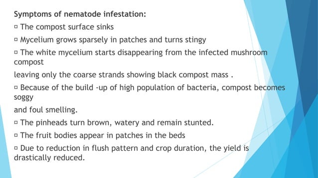Diseases and insect Pests of Mushroom . | PPTX
