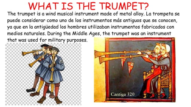 Musical instrument (1) | PPT