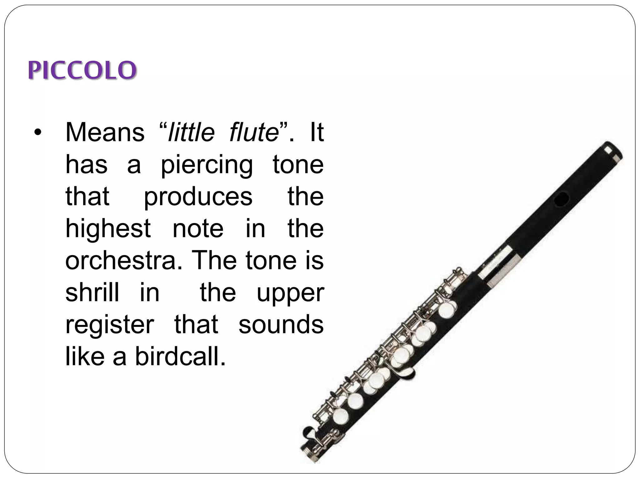 Musical instruments | PPTX