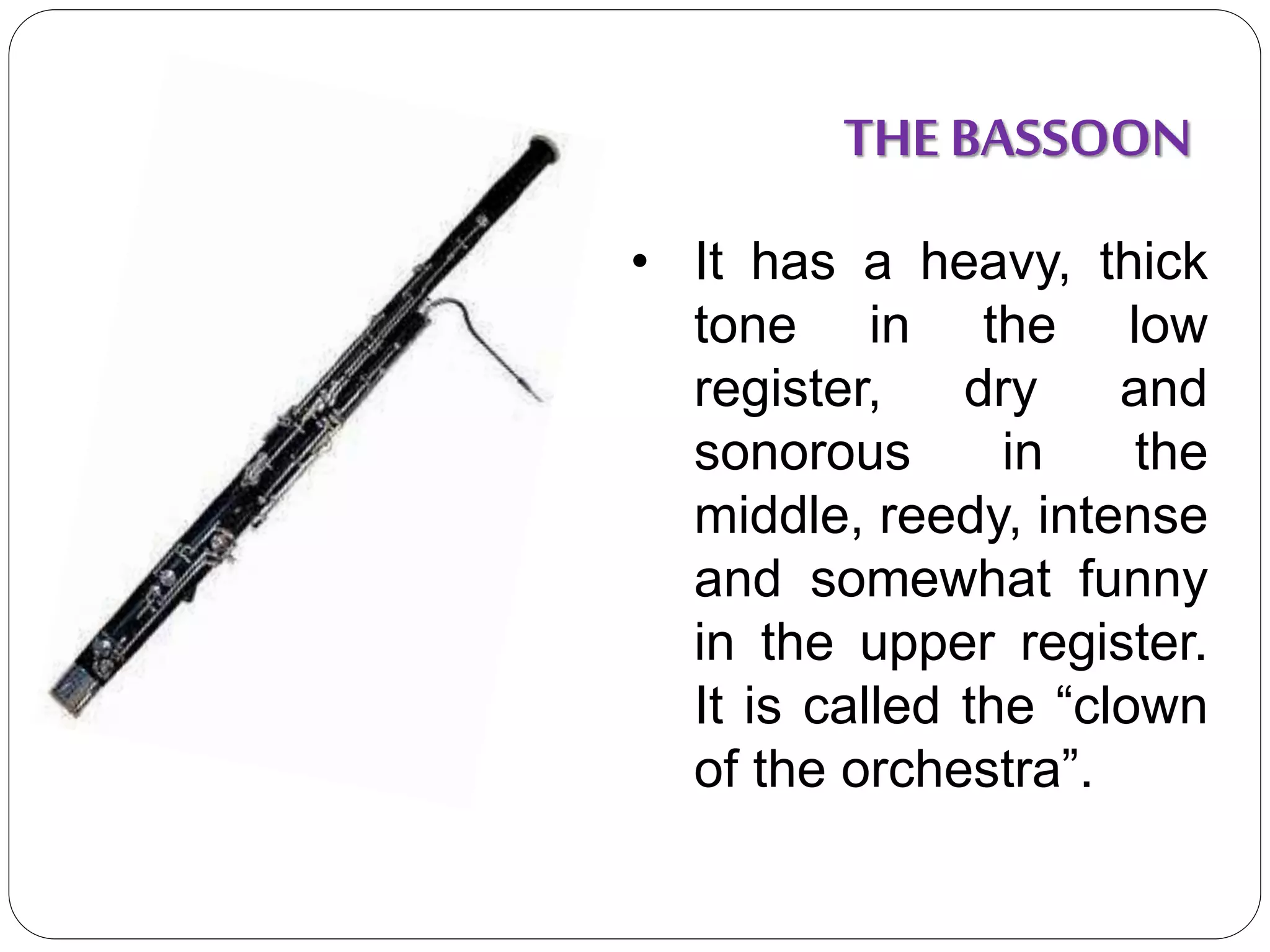 Musical instruments | PPTX