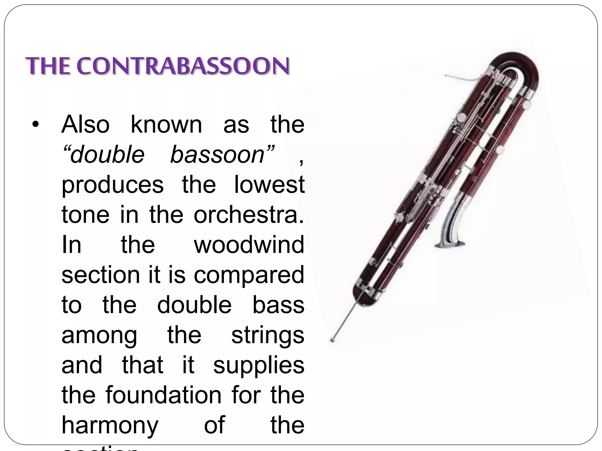 Musical instruments | PPTX