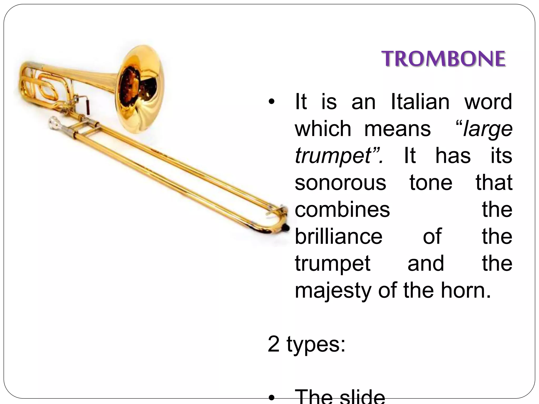 Musical instruments | PPTX
