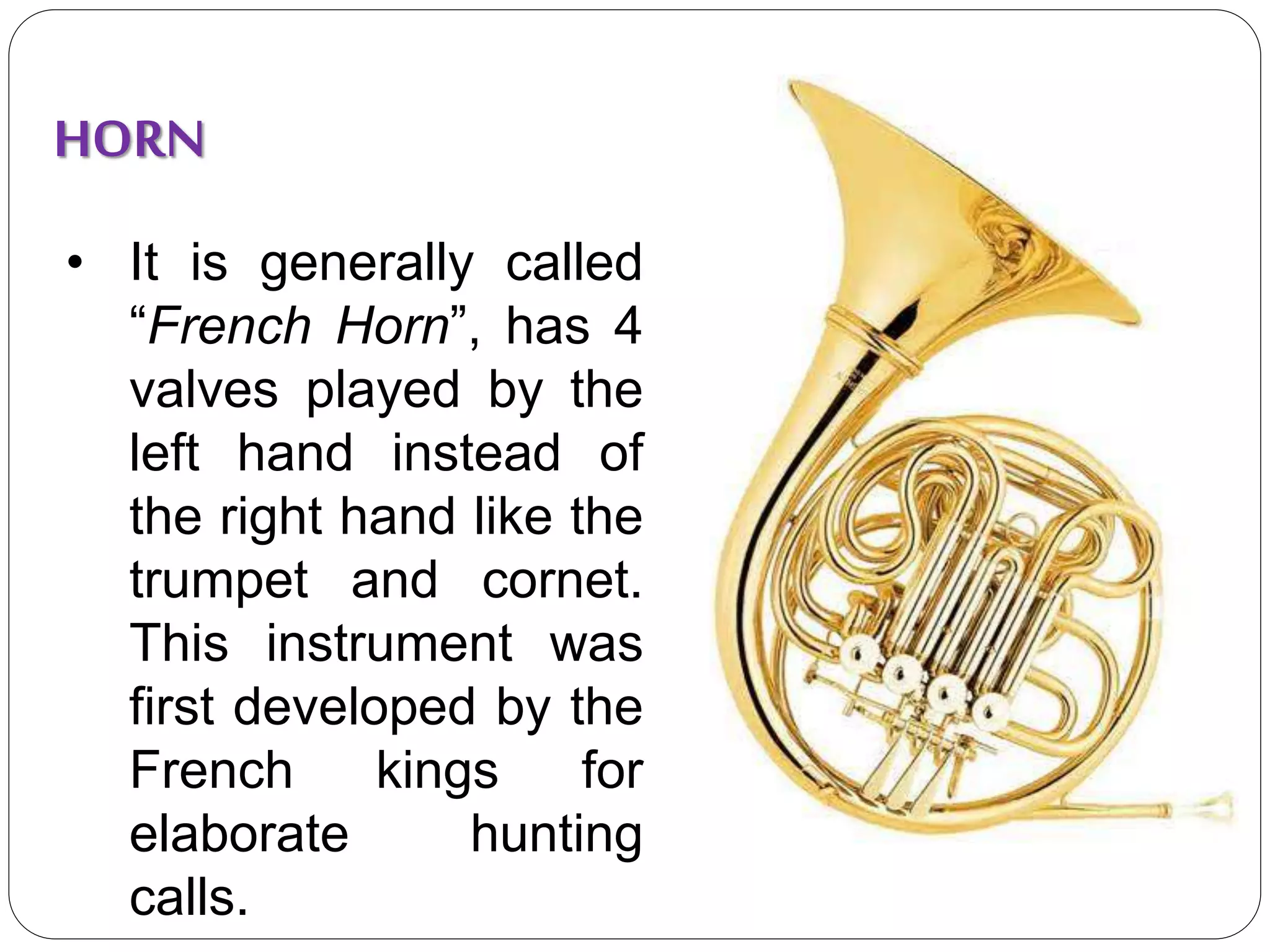 Musical instruments | PPTX
