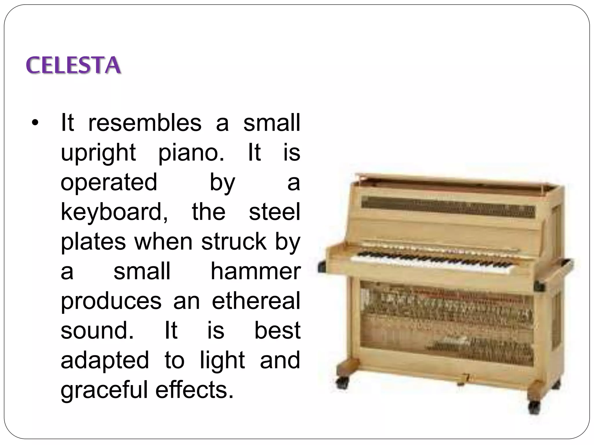 Musical instruments | PPTX