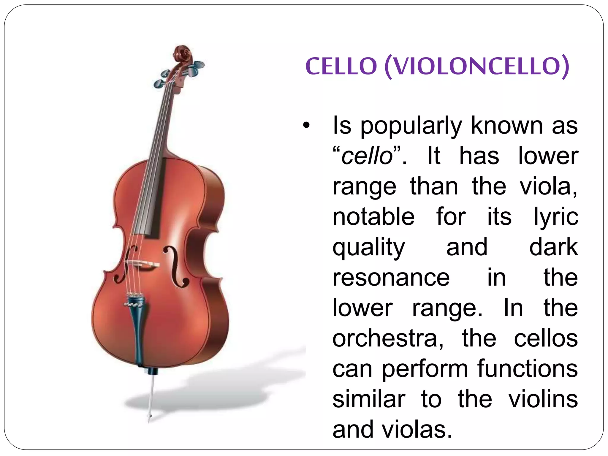 Musical instruments | PPTX