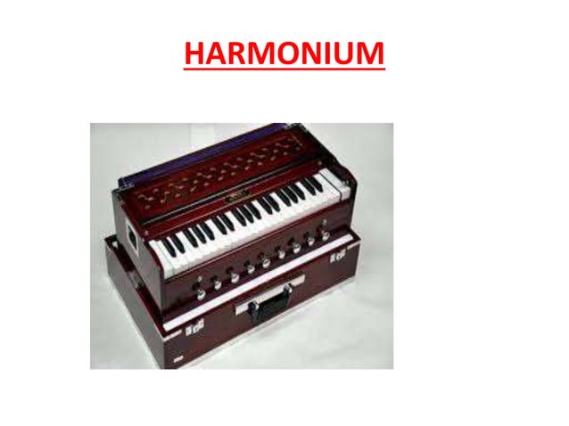 Musical instruments | PPTX