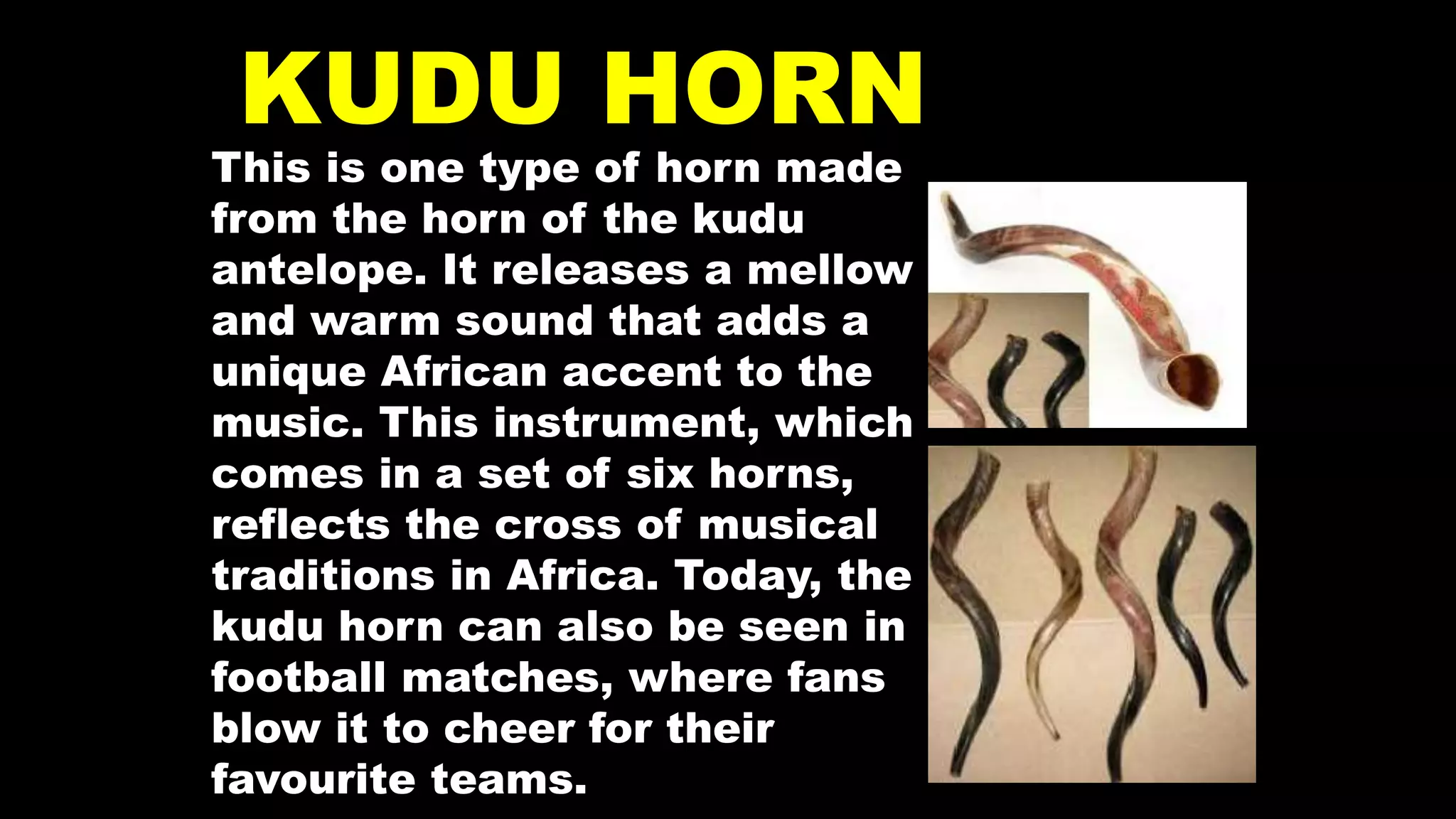 Musical intrument of Africa | PPTX