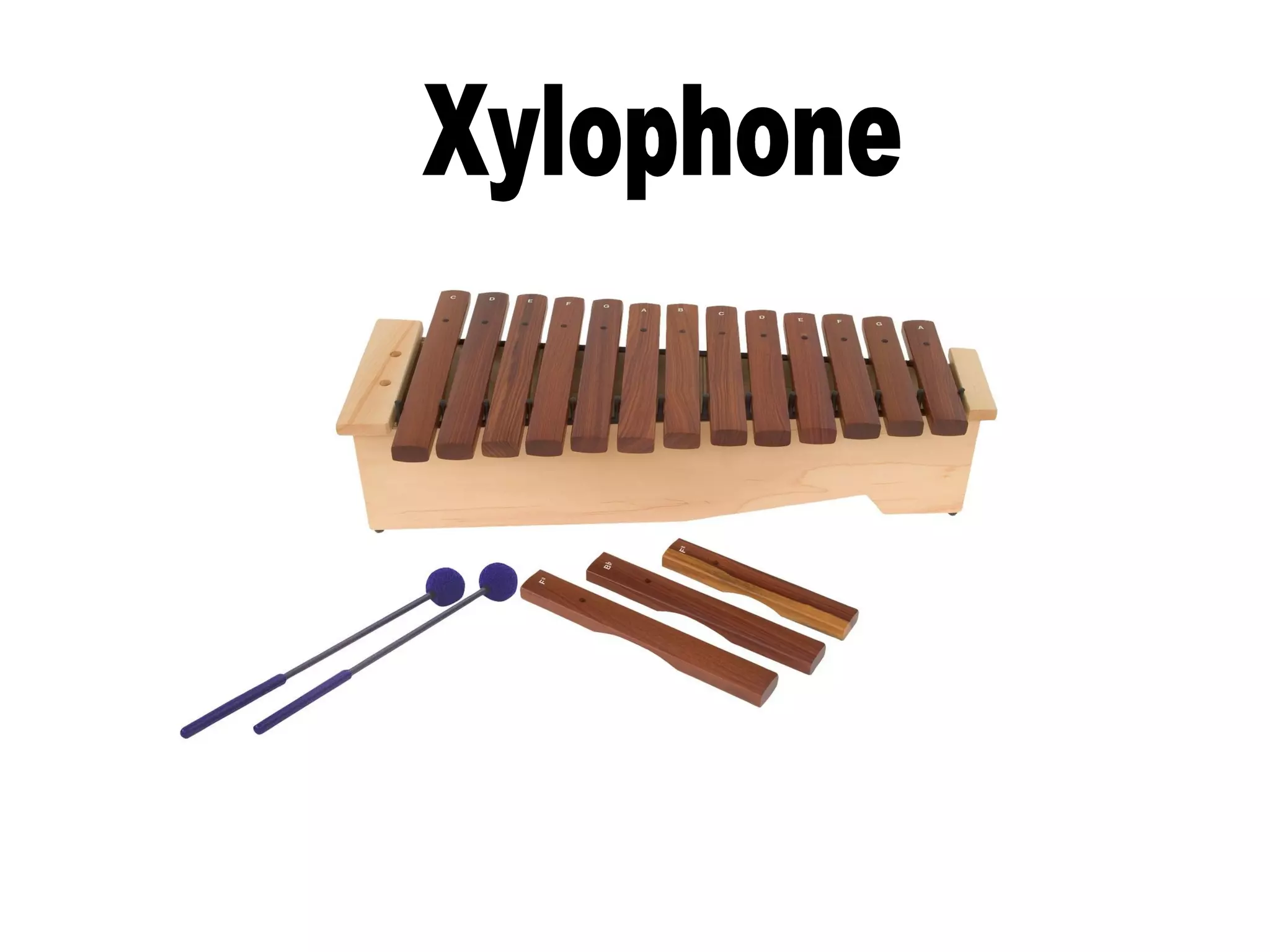 Xylophone and Metallophone | PPT