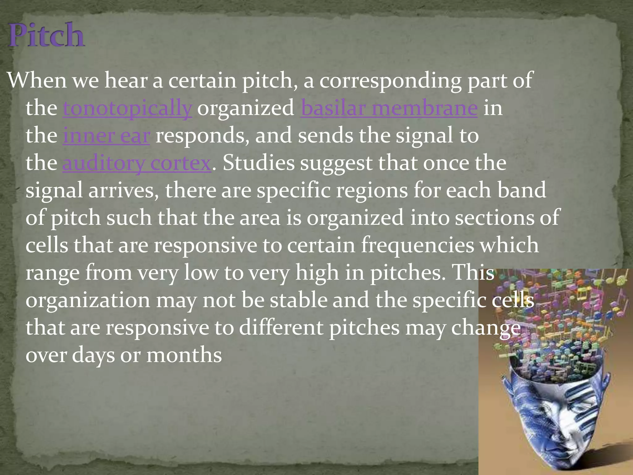 Music and the brain | PPTX