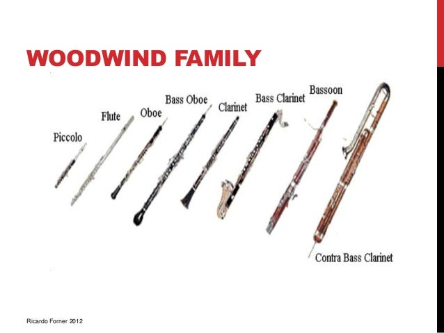 Woodwind Instrument Family