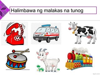 Music lesson 101 | PPT