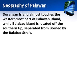 musicofpalawan-.pptx