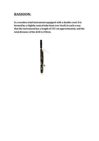 Music work ibon and iker | PDF