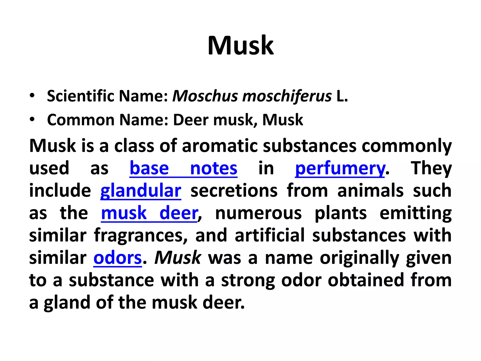 Musk.pptx