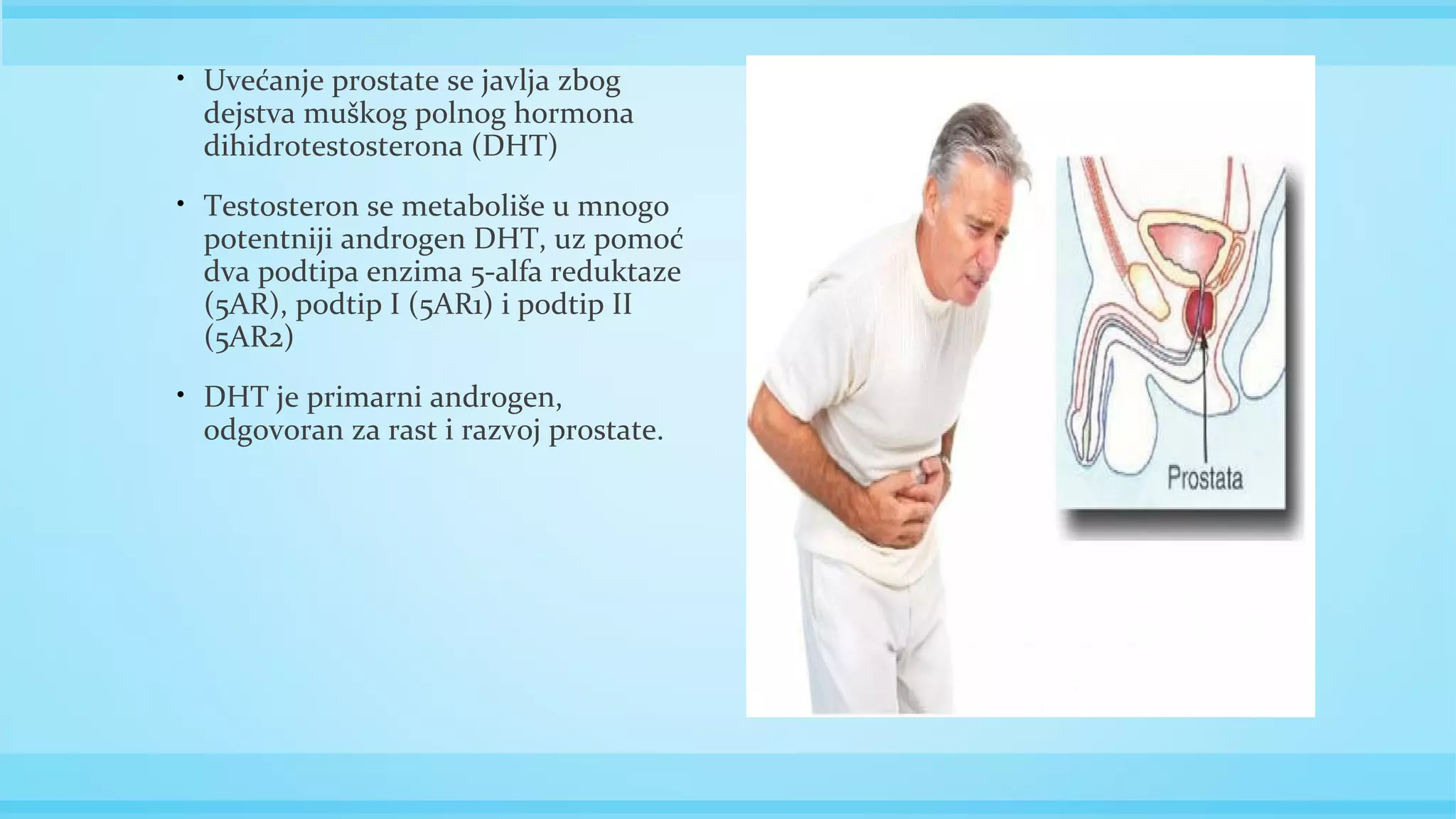 Muski polni organi | PPT