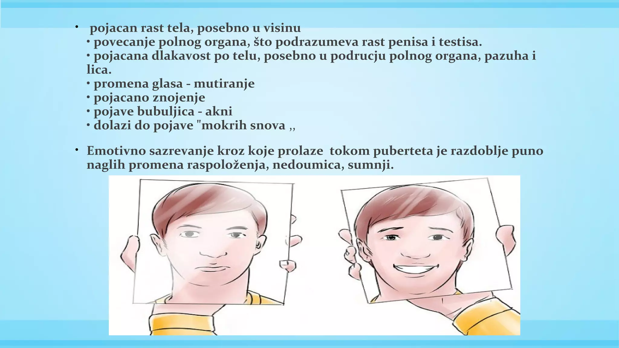 Muski polni organi | PPT