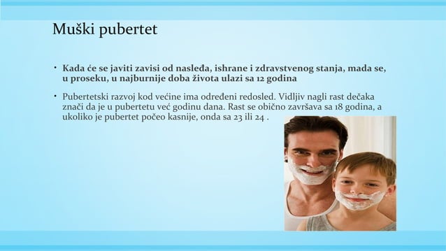 Muski polni organi | PPT