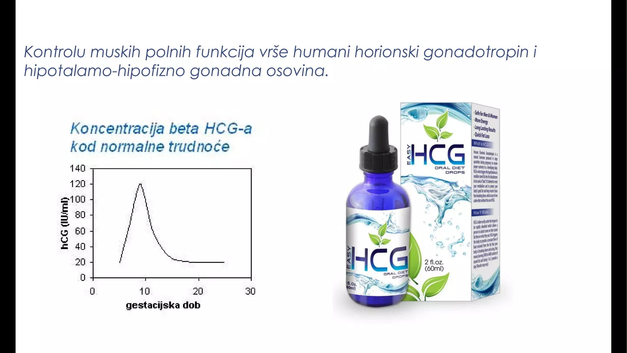 Muski polni organi | ODP