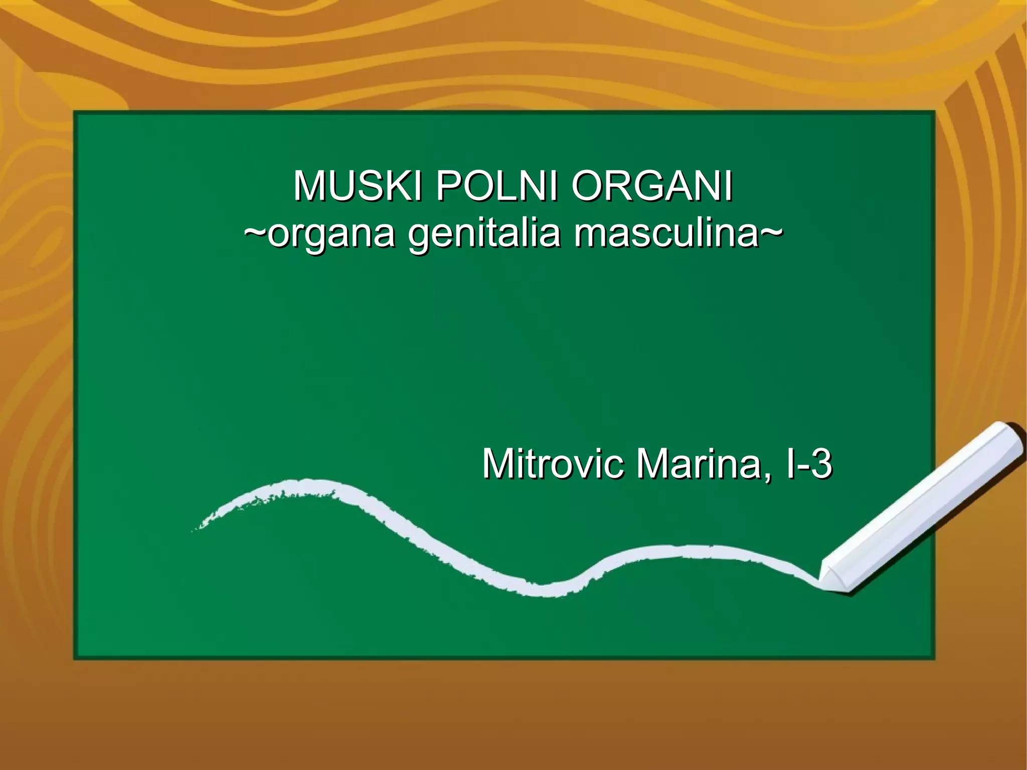 Muski polni organi mitrovic marina i 3 | PDF