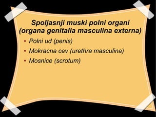 Muski polni organi mitrovic marina i 3 | PDF