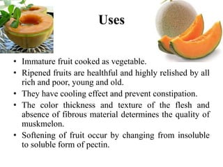 Muskmelon | PPTX