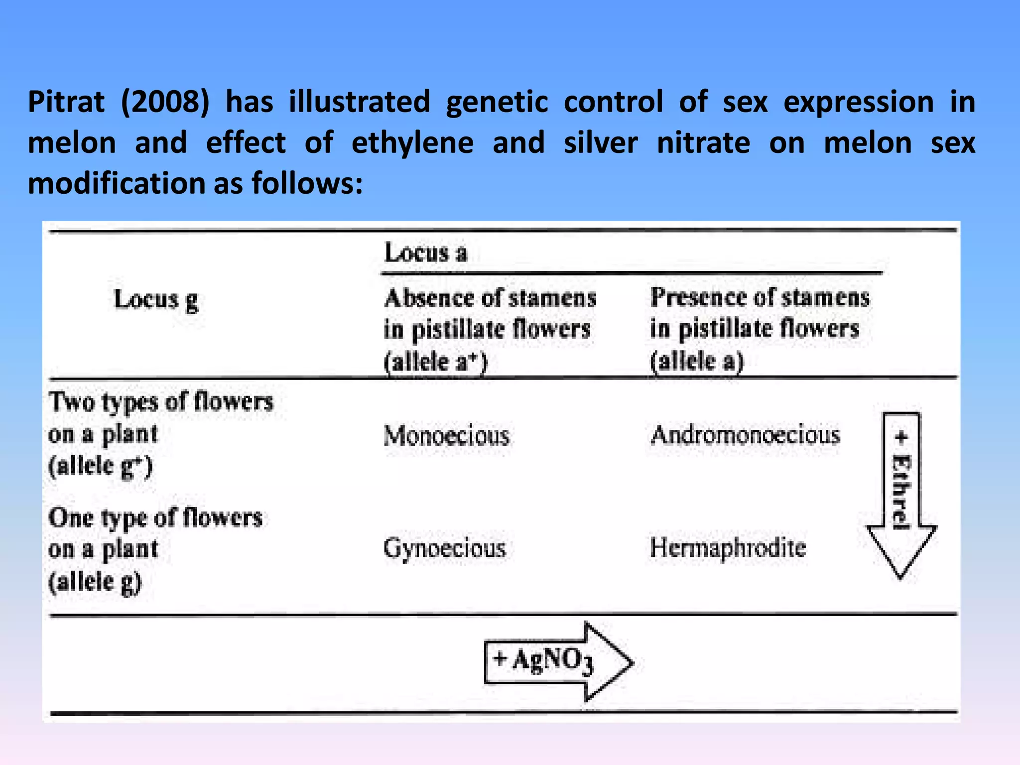 Muskmelon breeding | PDF