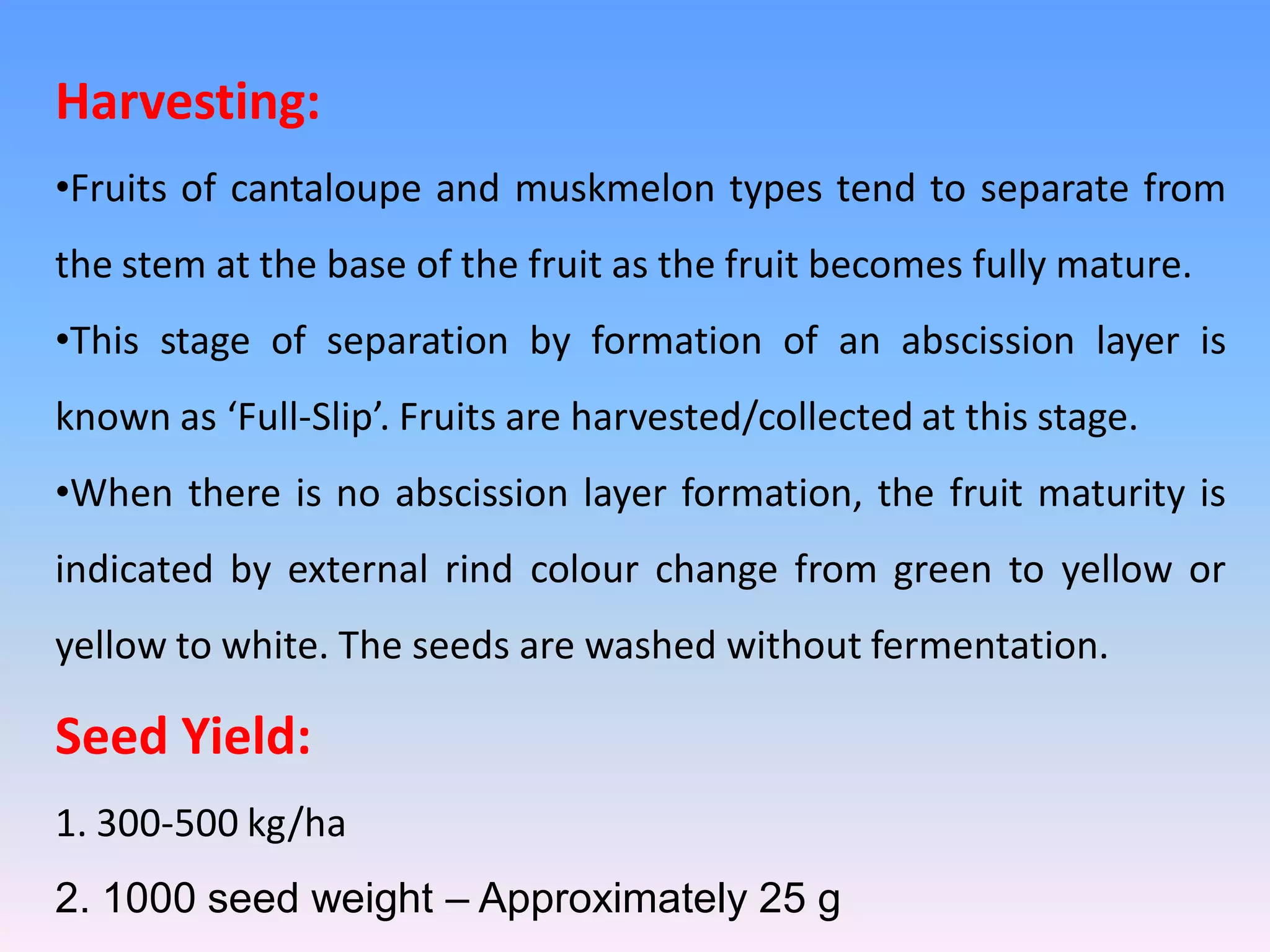 Muskmelon breeding | PDF