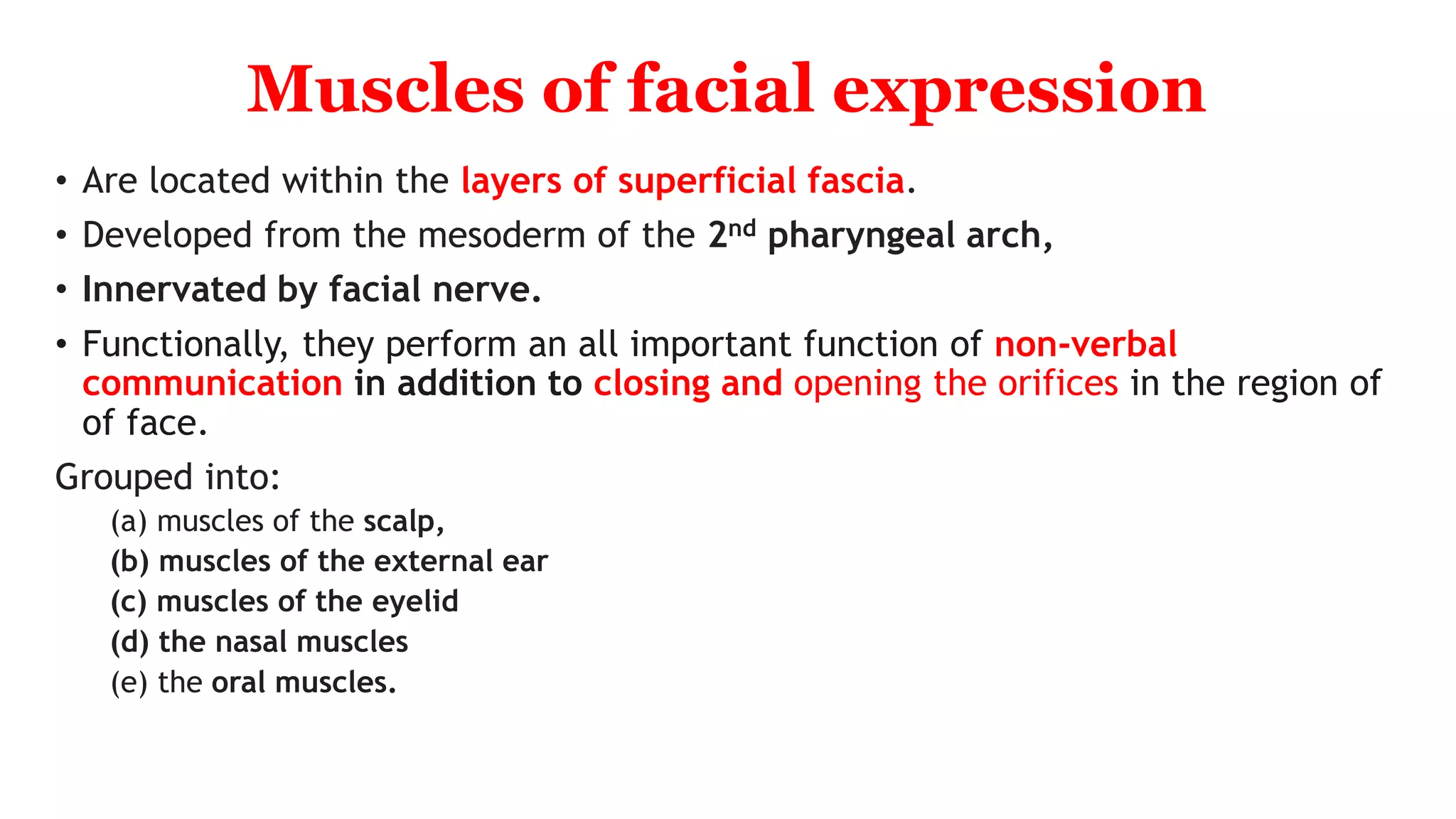muskular system anatomy.pptx