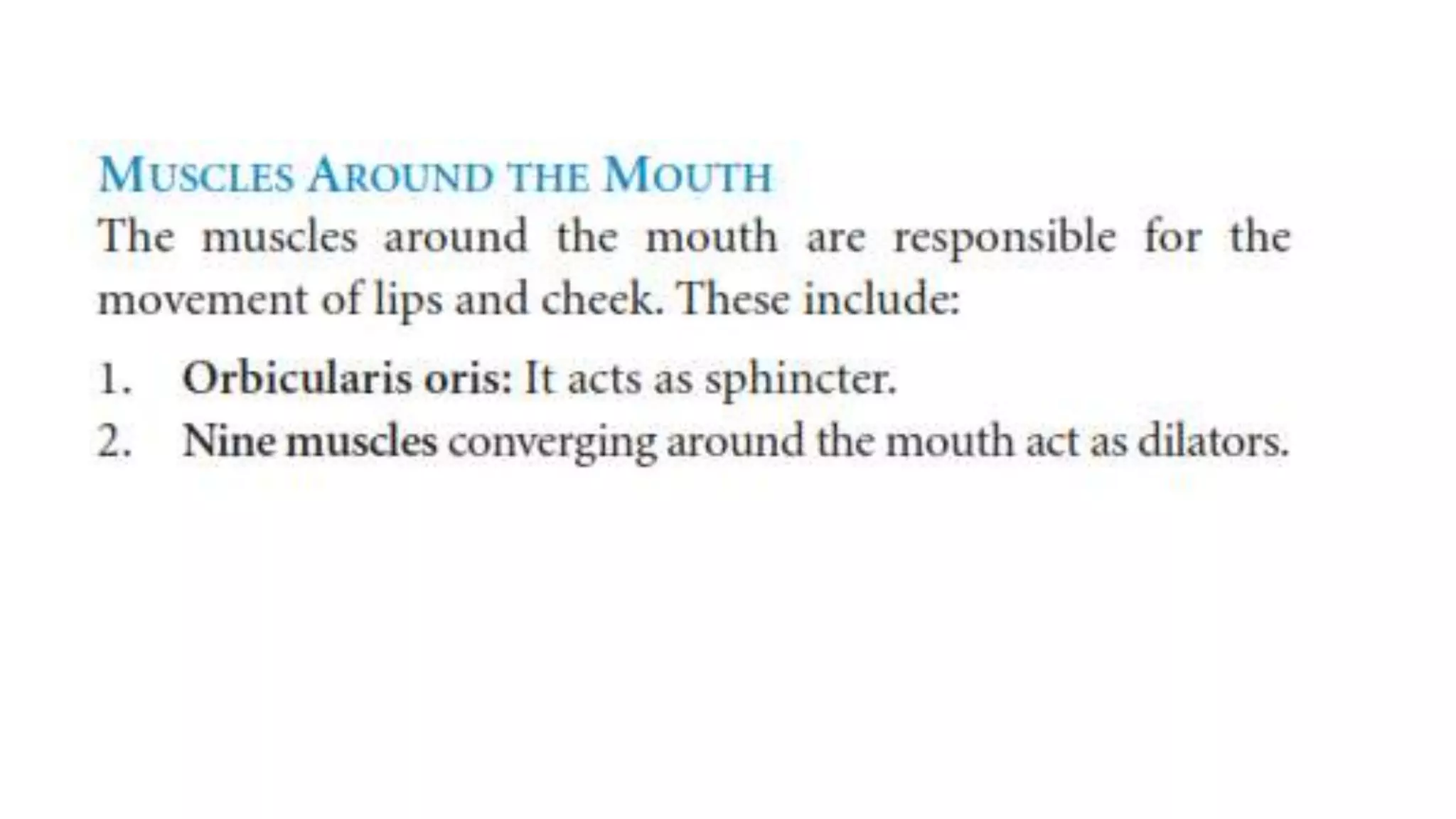 muskular system anatomy.pptx