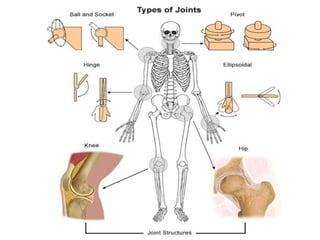 Muskulo Skeletal | PPTX
