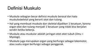 _Muskuloskeletal_.pdf