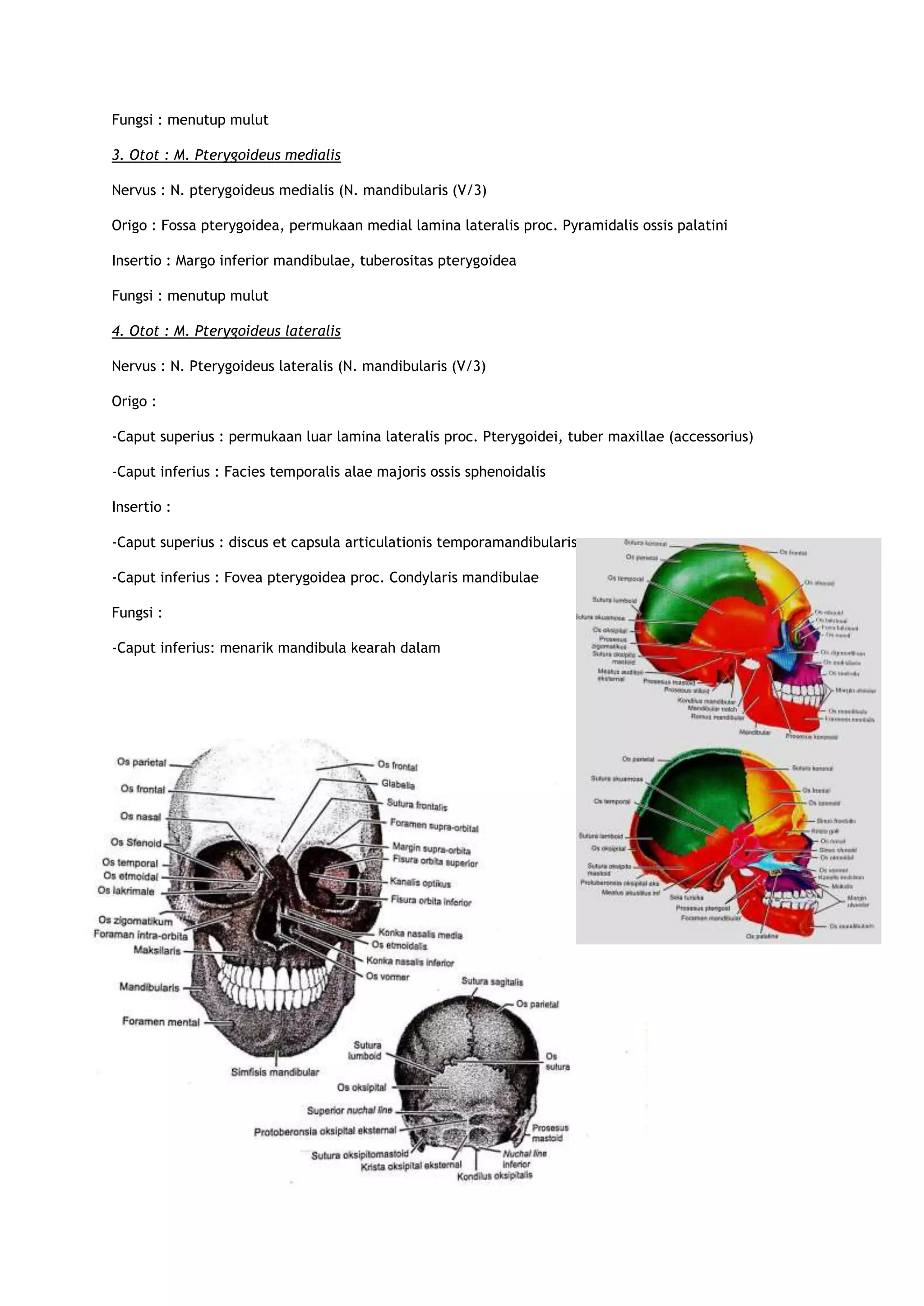 Muskuloskeletal - s1 kesehatan masyarakat | DOCX