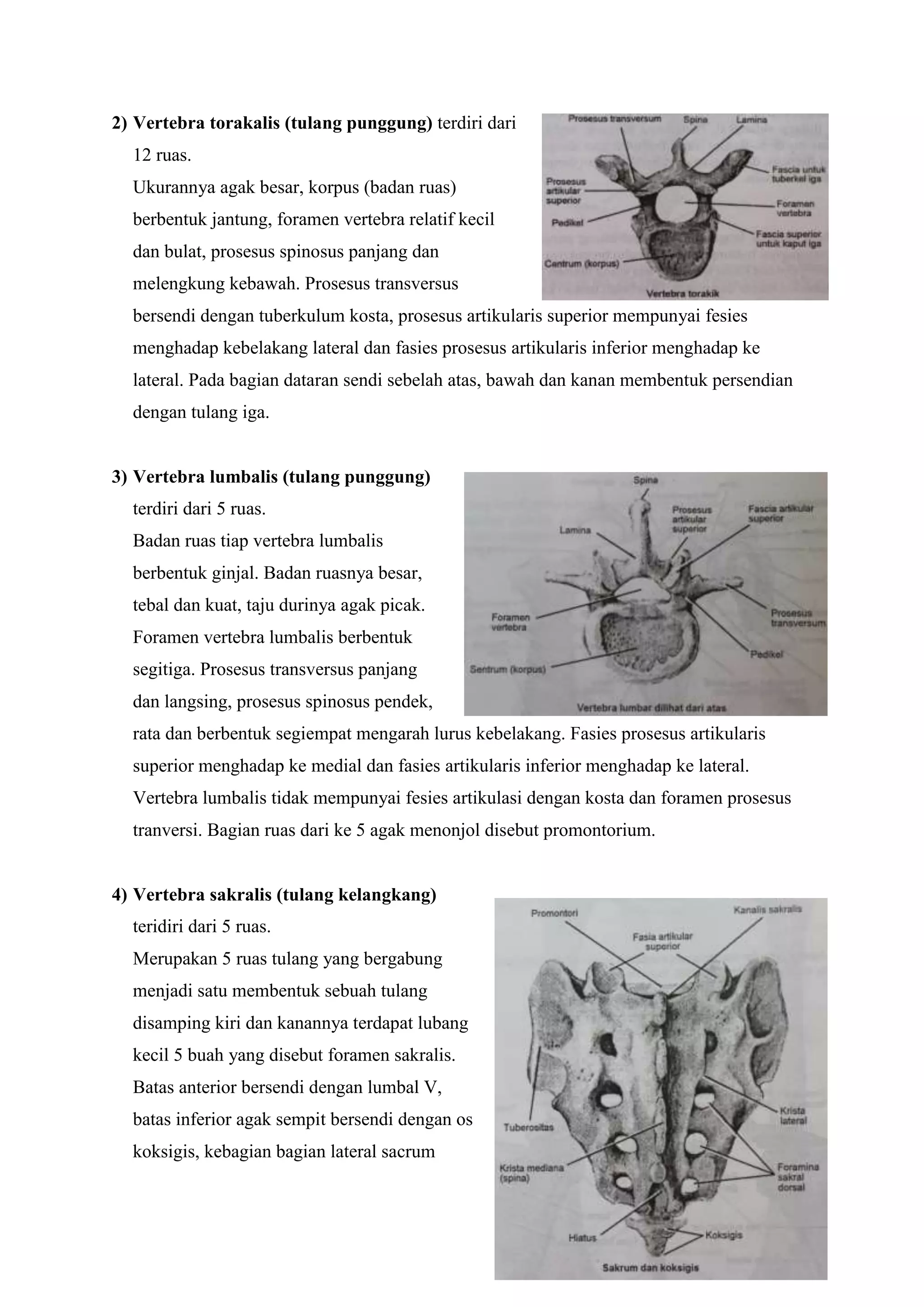 Muskuloskeletal - s1 kesehatan masyarakat | DOCX