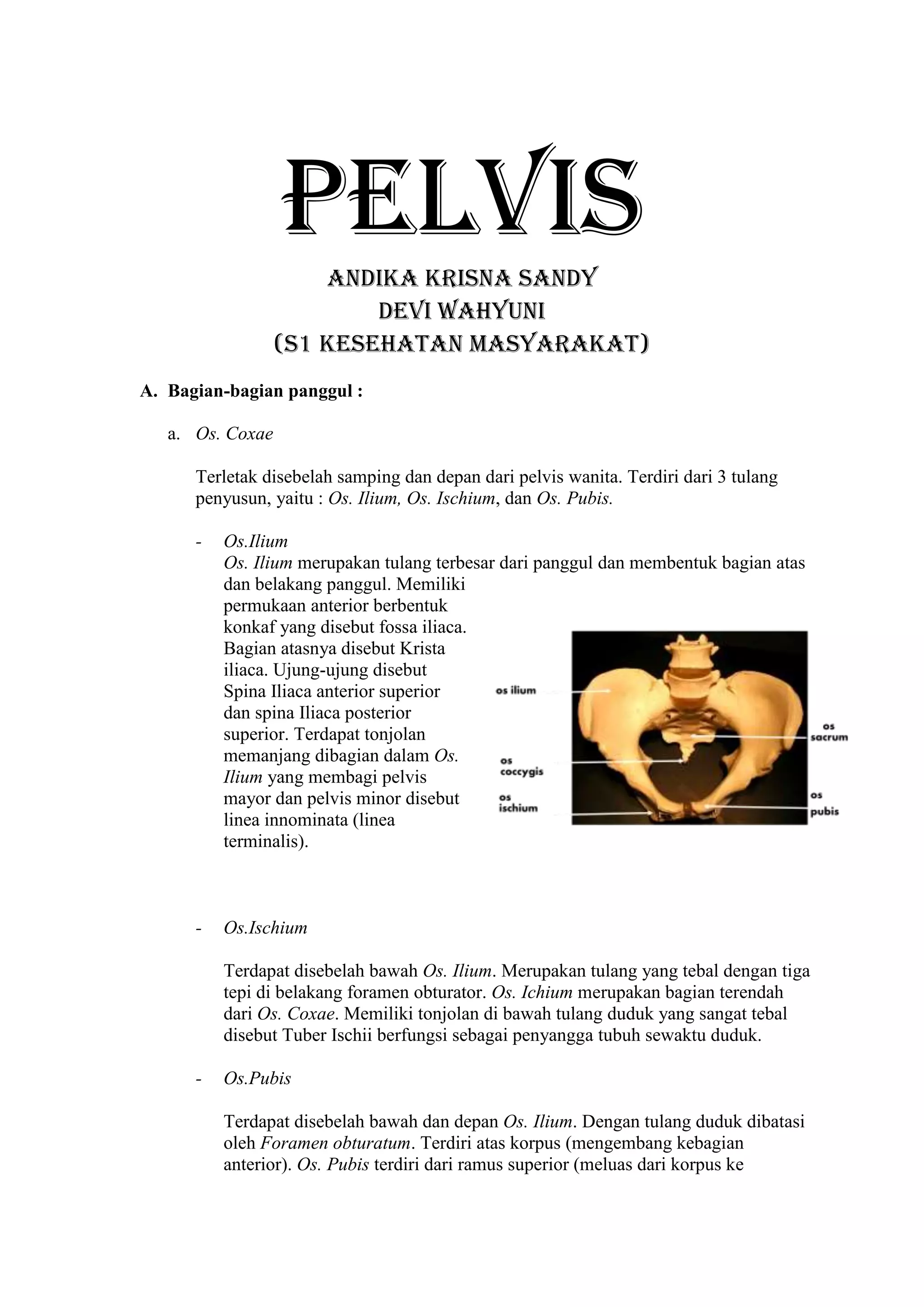 Muskuloskeletal - s1 kesehatan masyarakat | DOCX