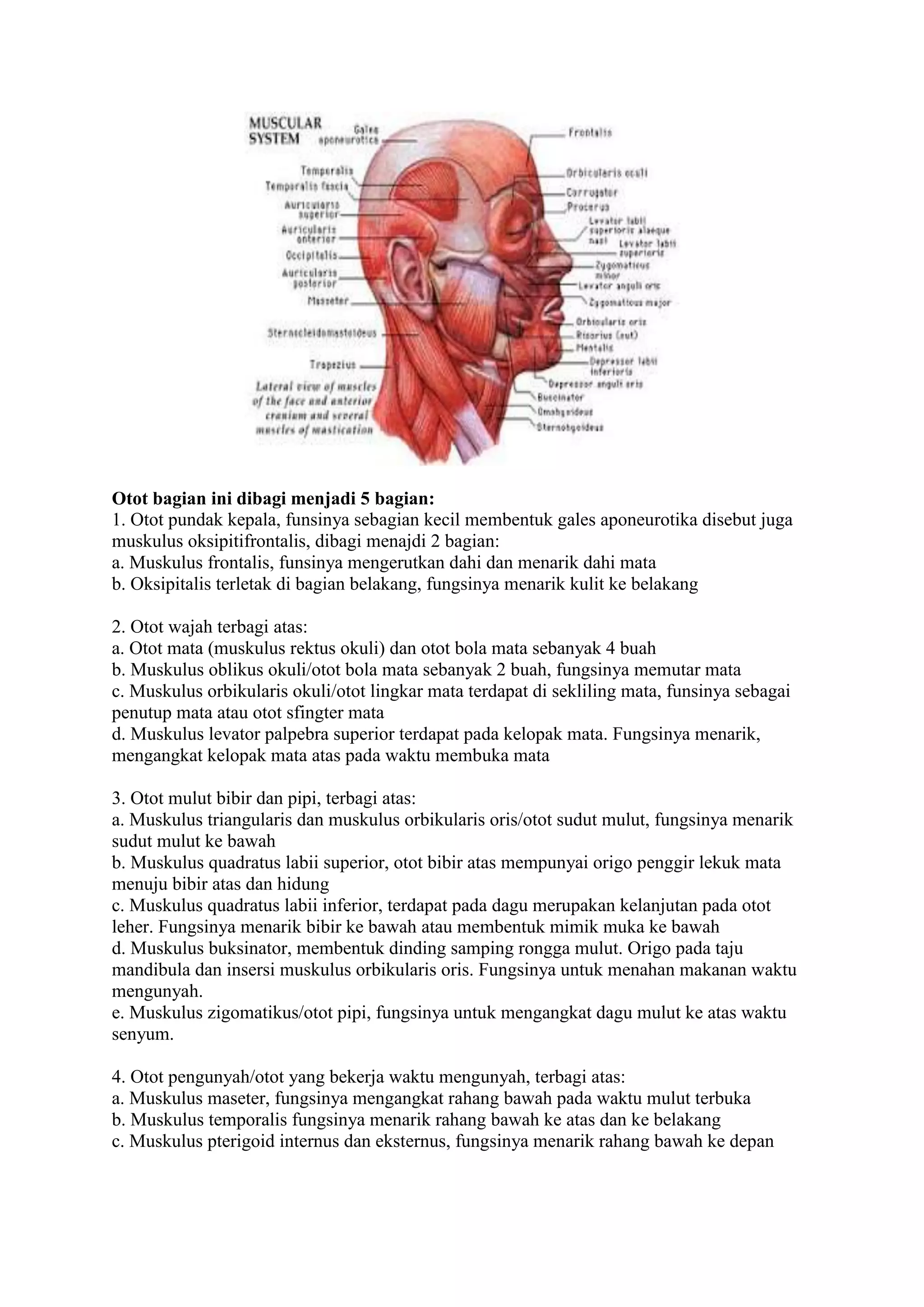 Muskuloskeletal - s1 kesehatan masyarakat | DOCX
