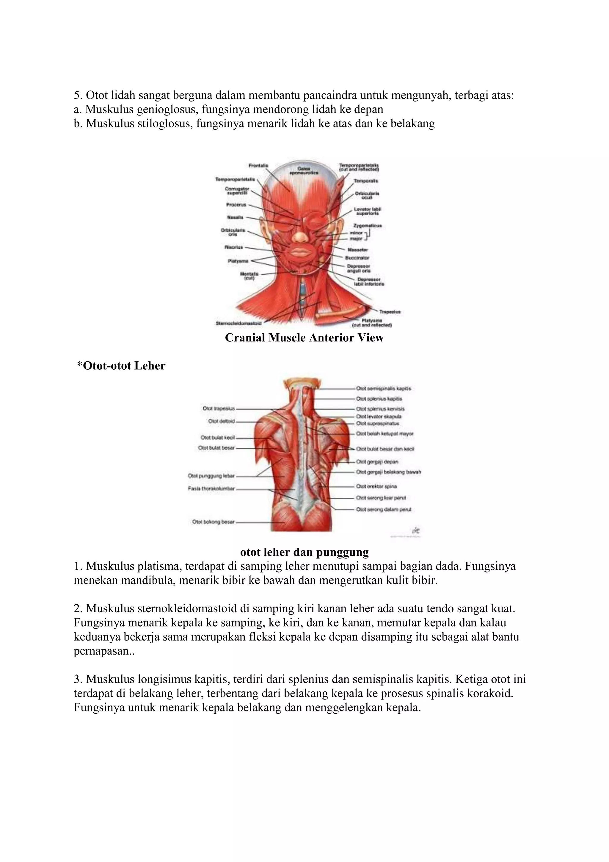 Muskuloskeletal - s1 kesehatan masyarakat | DOCX