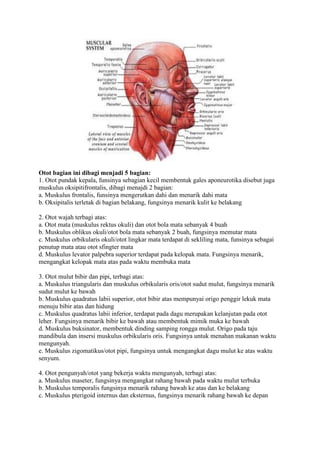 Muskuloskeletal - s1 kesehatan masyarakat | PDF