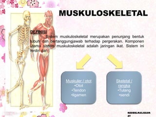 Muskuloskeletalppoint | PDF