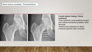 Muskuloskeletal Radiology Basic Overview.pptx