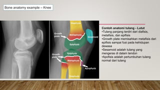 Muskuloskeletal Radiology Basic Overview.pptx