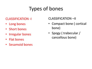 Muskuloskeletal system for 1st year bsc nursing | PPTX