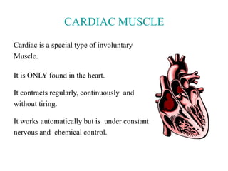 Muskuloskeleton day 2 | PPT