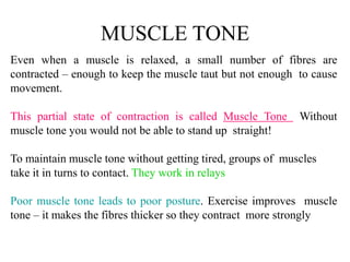 Muskuloskeleton day 2 | PPT