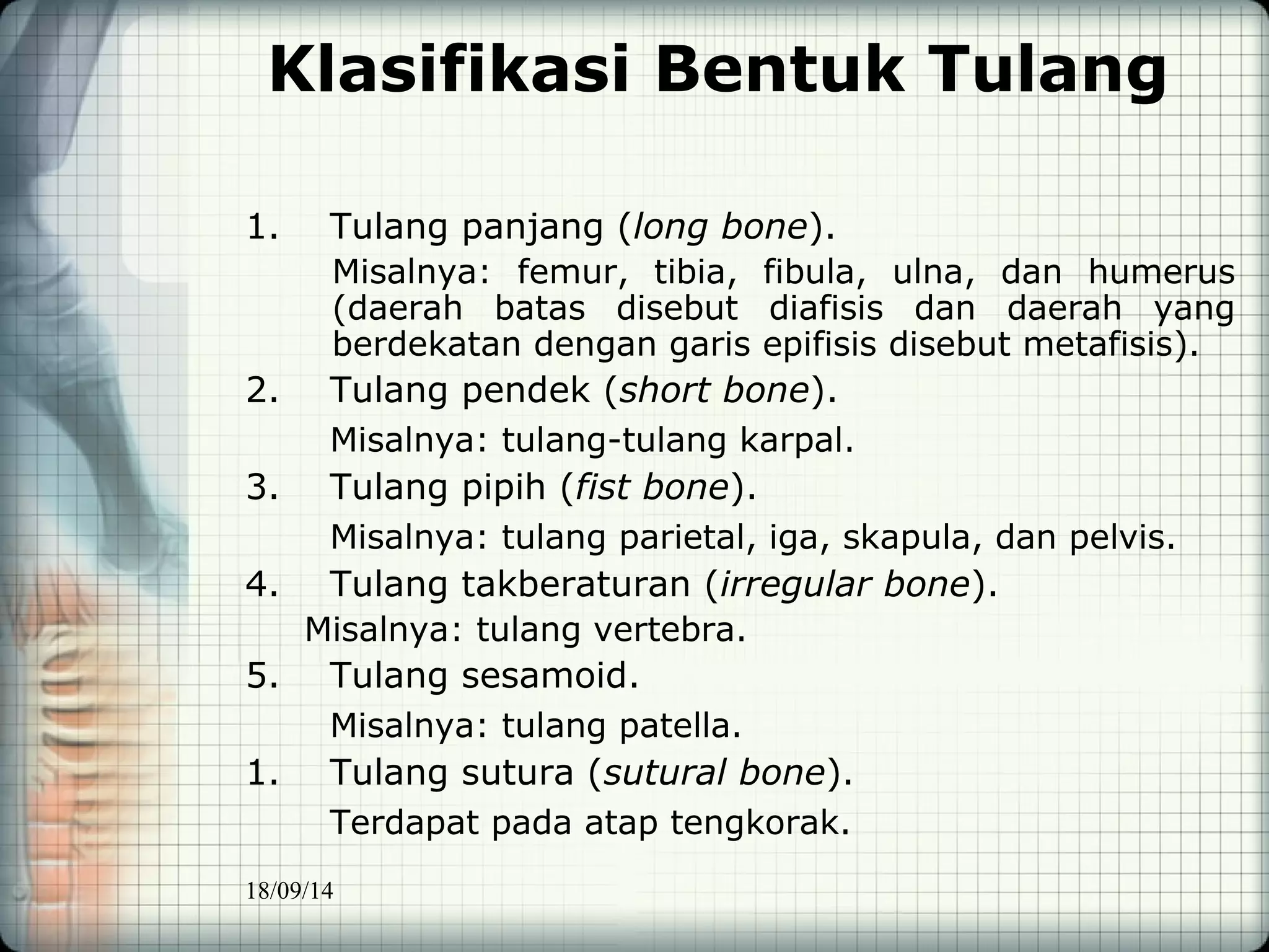 Muskulos tulang dan sendi pertemuan 1 | PPT
