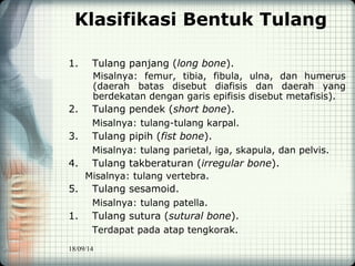 Muskulos tulang dan sendi pertemuan 1 | PPT